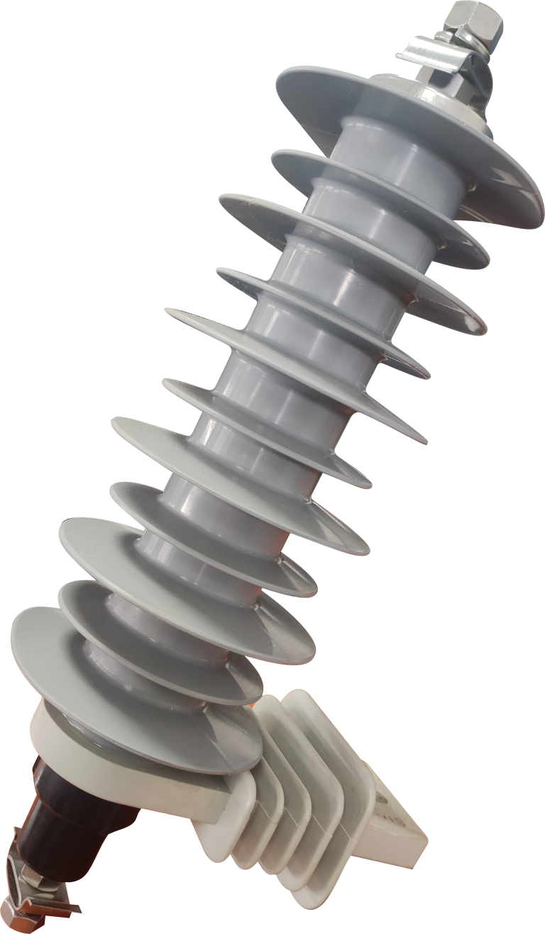 DPS Y PORTA DPS – Electricos internacional